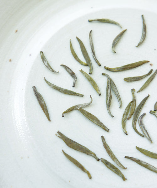 The Elusive and Endangered Yellow Tea – Cultivate Tea