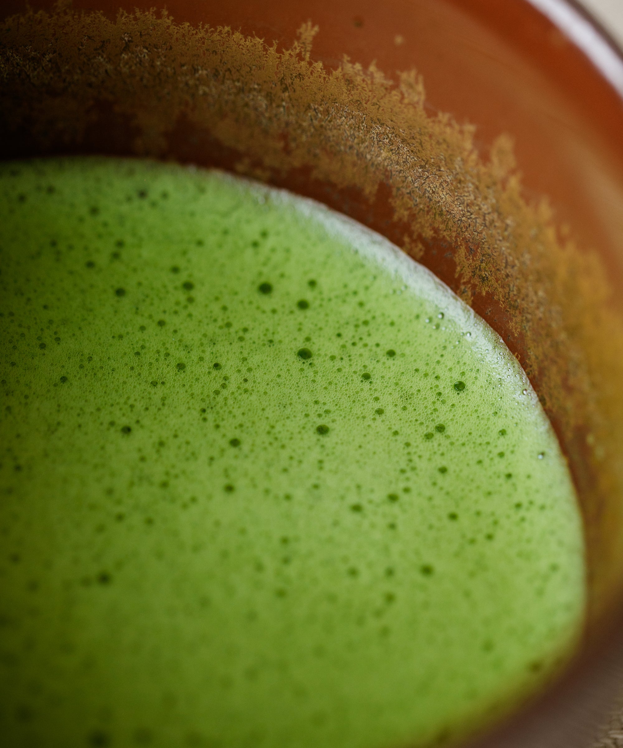 Matcha "Matsu no Shiro" – Cultivate Tea