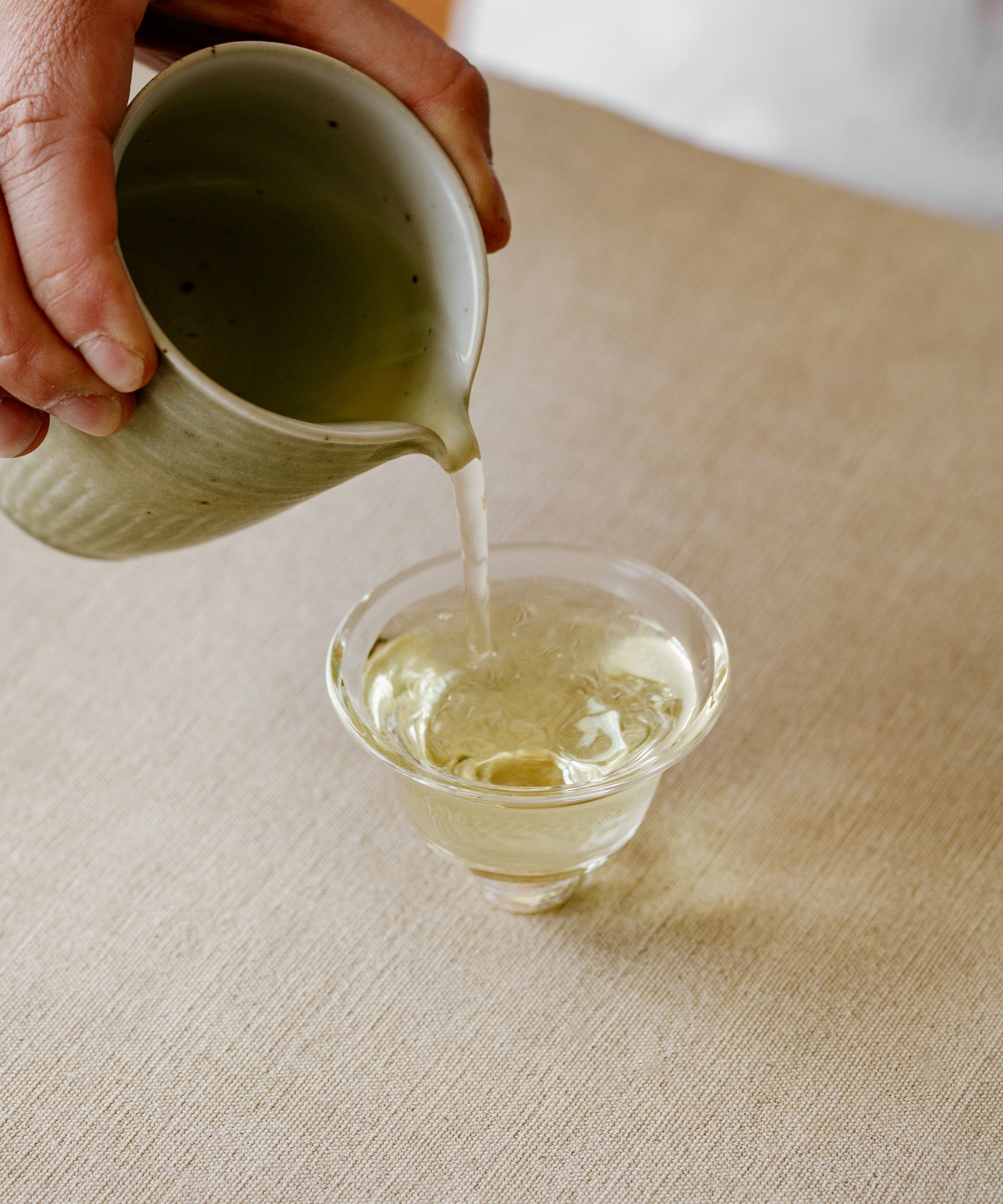 Lu'an Melon Flake – Cultivate Tea