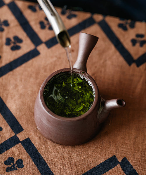 First Harvest Sencha Suruga Takumi – Cultivate Tea