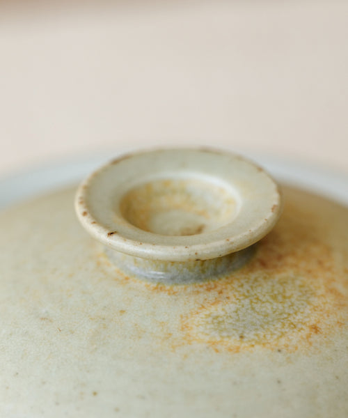 Pastel Yellow II Gaiwan – Cultivate Tea