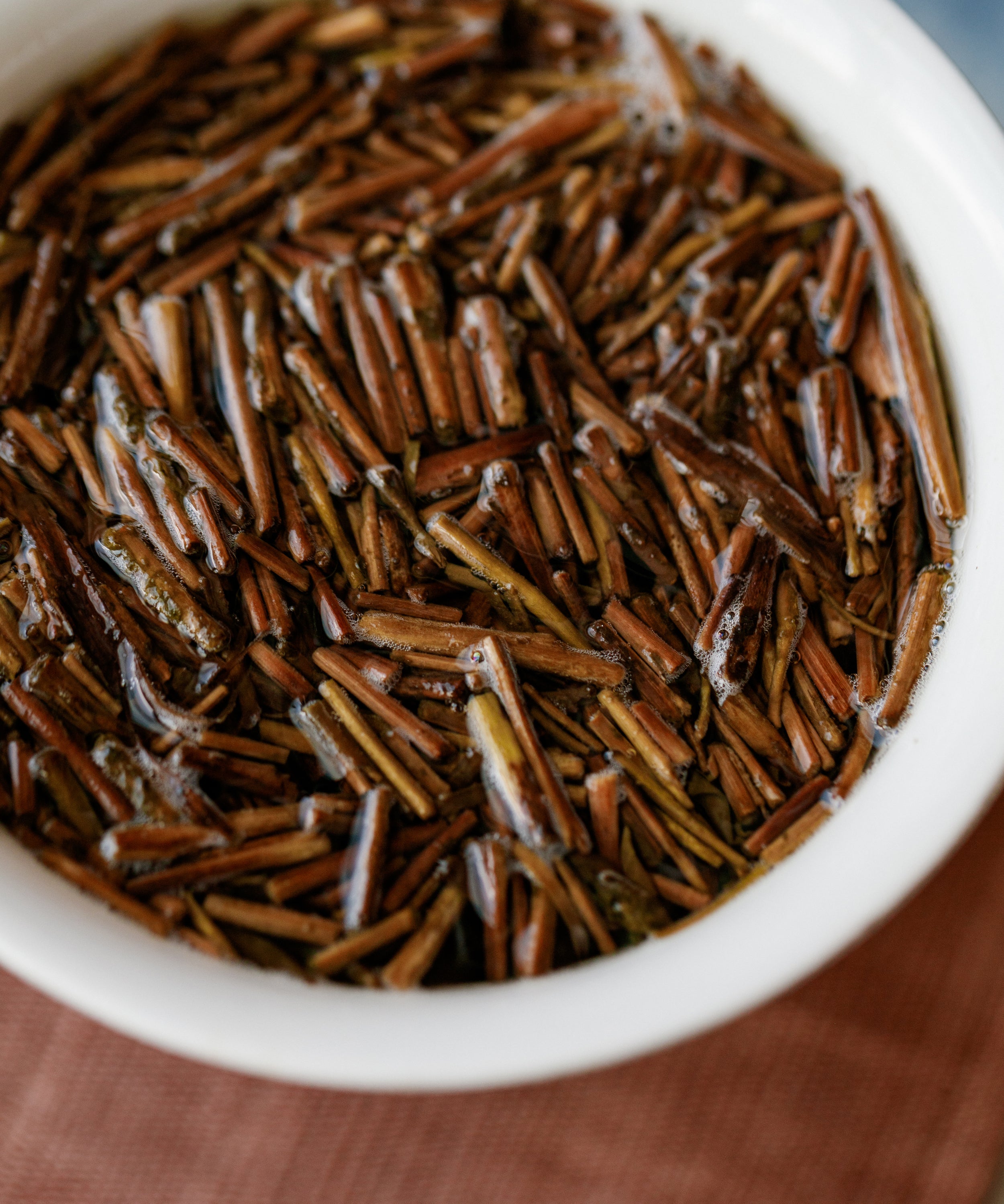 Kaga Hojitate – Cultivate Tea